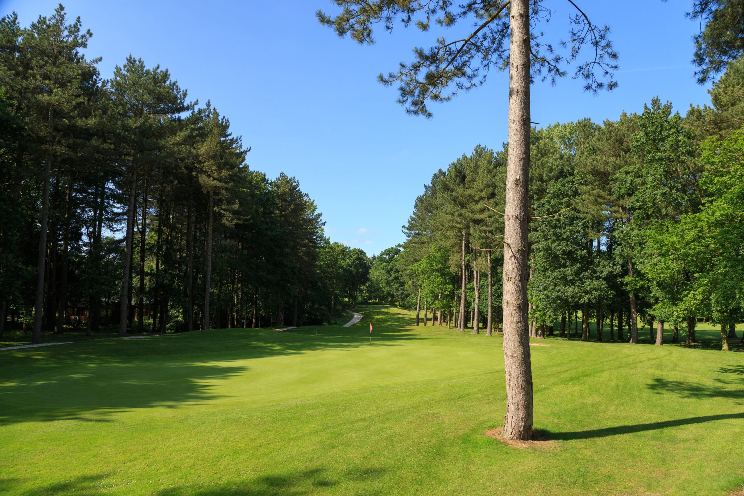 Golf at Kenwick Park | Kenwick Park Estate